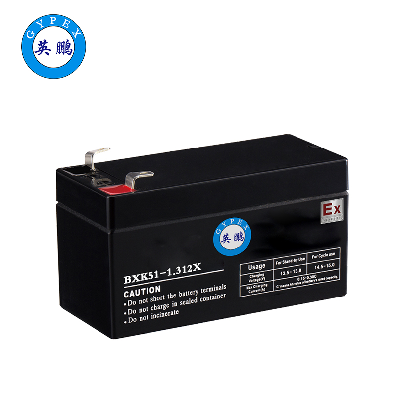 防爆铅酸蓄电池（12V1.3AH） - 佛山鹏企环保科技有限公司